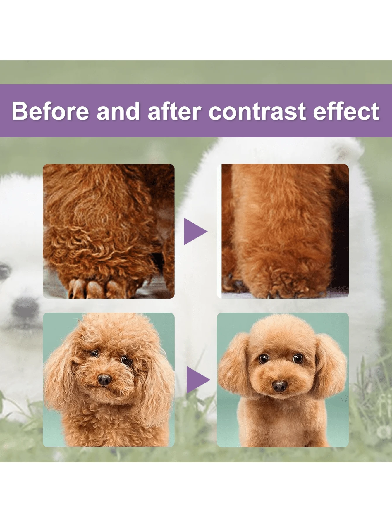 Pet Fur Conditioner, Moisturizing & Detangling For Cats & Dogs Hair ...