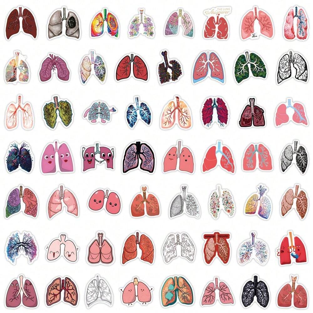 55Pcs Lung Stickers, Human Anatomy Decals Organs Stickers Pack For Kids ...