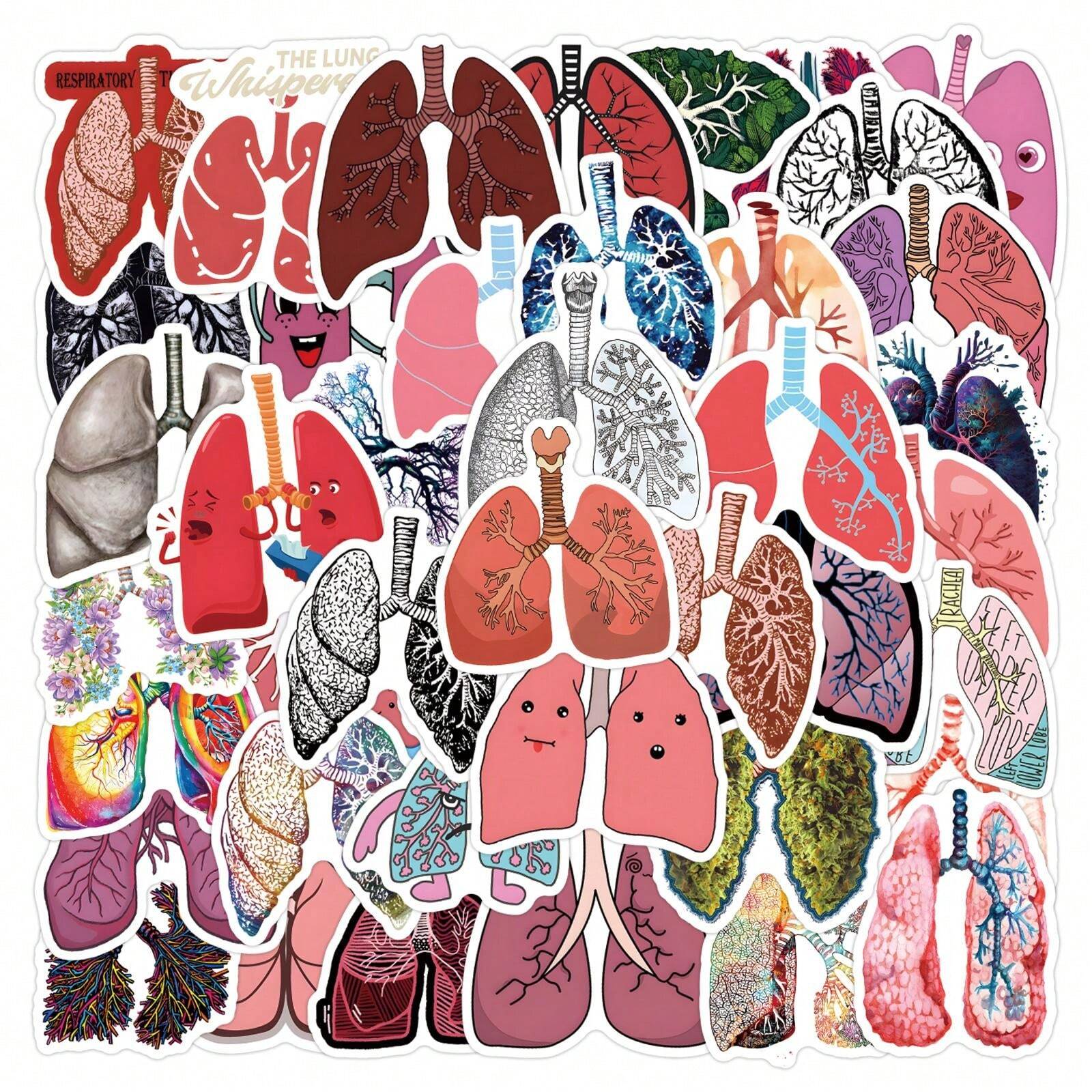 55Pcs Lung Stickers, Human Anatomy Decals Organs Stickers Pack For Kids ...