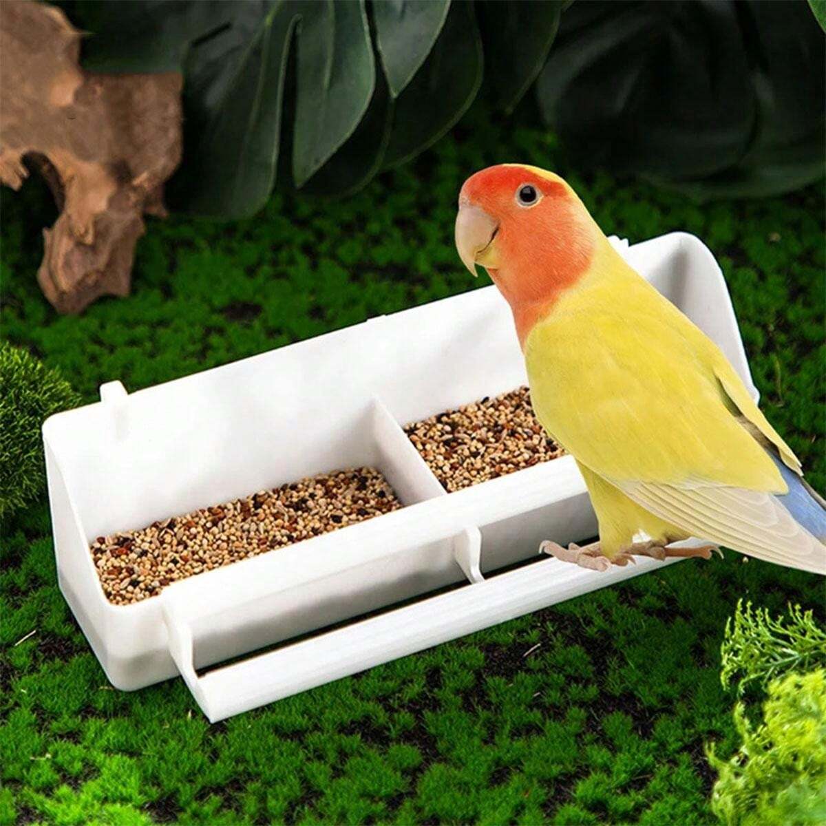 Parrot Food Water Feeder Hanging Bowl Bird Quail Cage Feeding Cup ...
