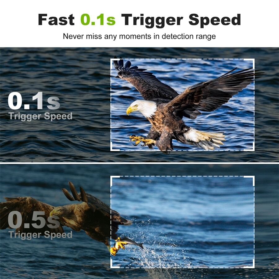 Low Power Hunting Trail Camera Night Vision Motion Activated Trigger ...