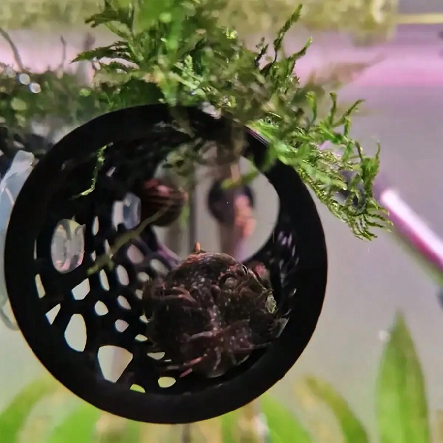 Betta Fish Hideout Tube With Suction Cups - Aquarium Safe ABS Sleeping ...