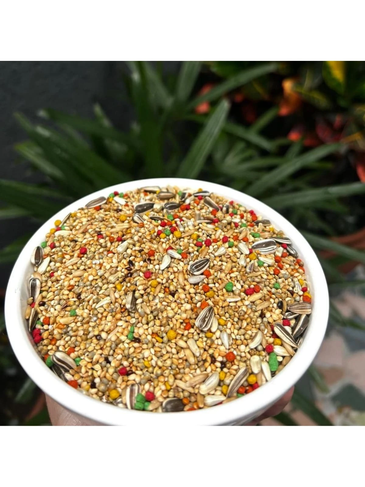 10kg Economic Mix For Cockatiels, Parakeets And Lovebirds | SHEIN USA