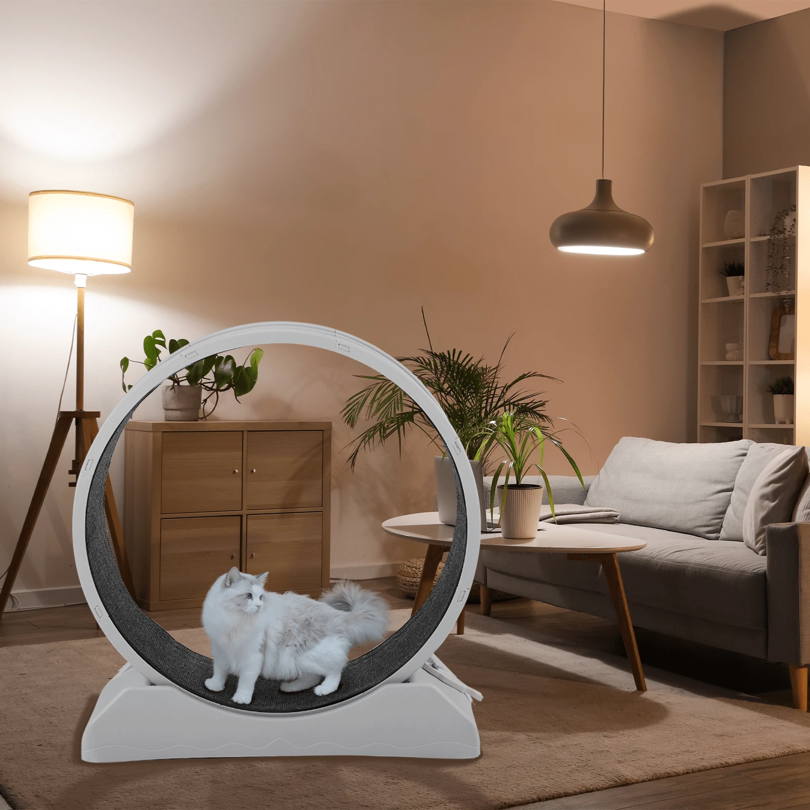 Cat Exercise Wheel, 31 Inch Cat Wheels For Indoor Cats, Cat Treadmill ...