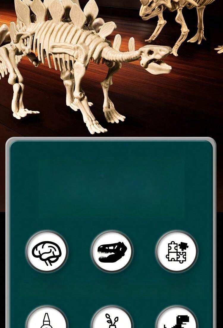 Five Dinosaur Skeleton Building Blocks Assembled Jurassic Tyrannosaurus ...