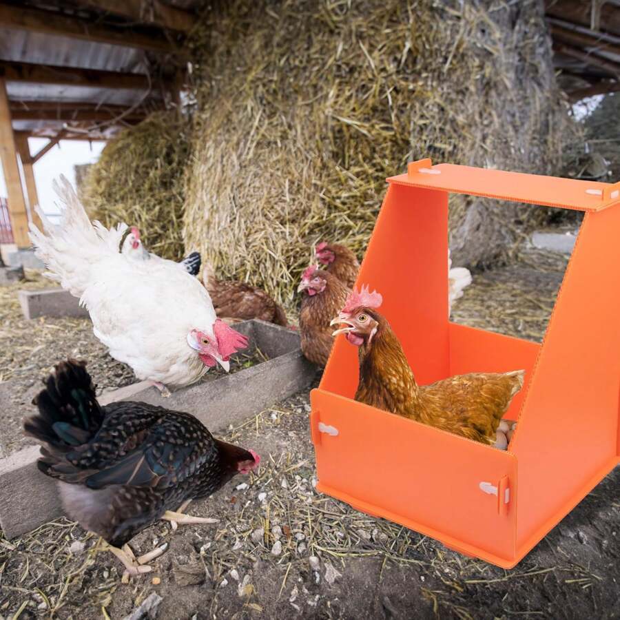 6 Set Chicken Nest Box With Pads Plastic Hen Egg Nest Box And Nesting ...