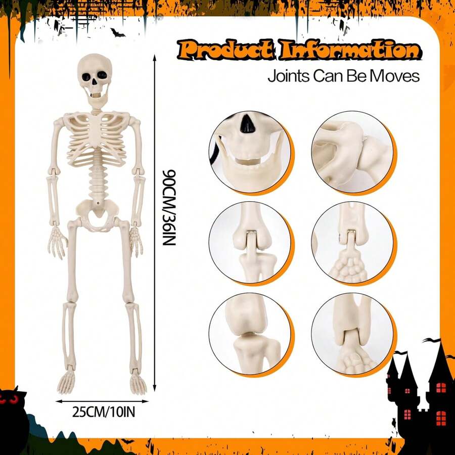 5.4FT Skeleton , Human Life Size Posable Skeleton Decor, Full Size Body ...