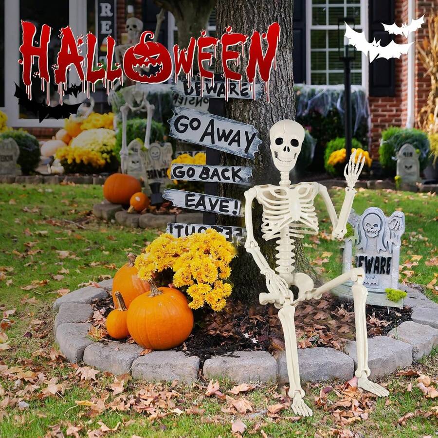 5.4FT Skeleton , Human Life Size Posable Skeleton Decor, Full Size Body ...