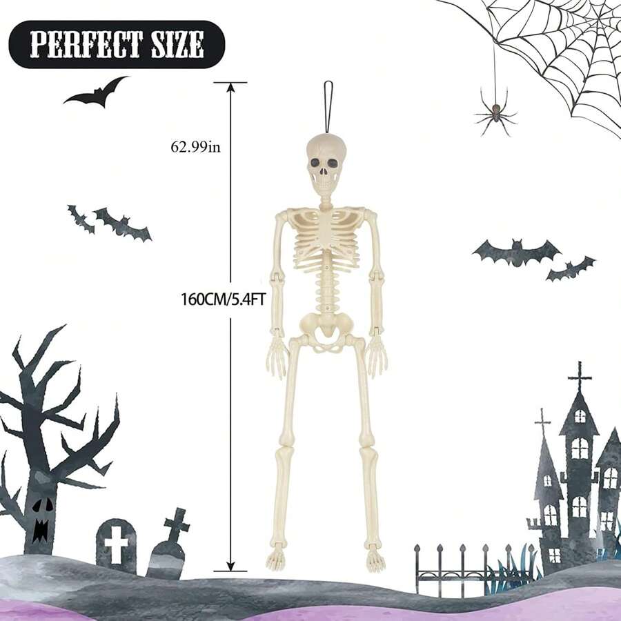 5.4FT Skeleton , Human Life Size Posable Skeleton Decor, Full Size Body ...
