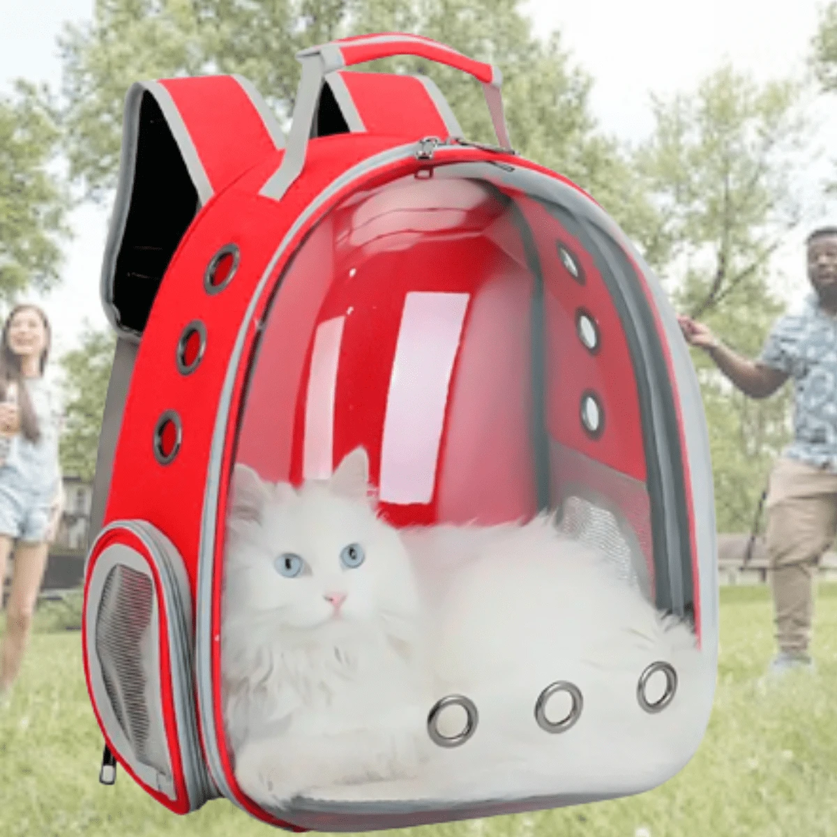 Adventures In Style! Pet Backpack With Panoramic View – Comfort And ...