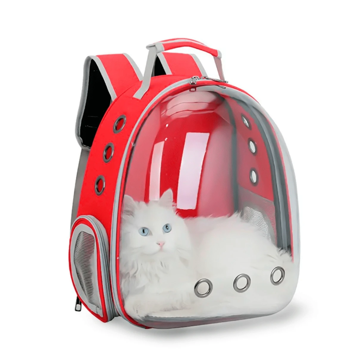 Adventures In Style! Pet Backpack With Panoramic View – Comfort And ...