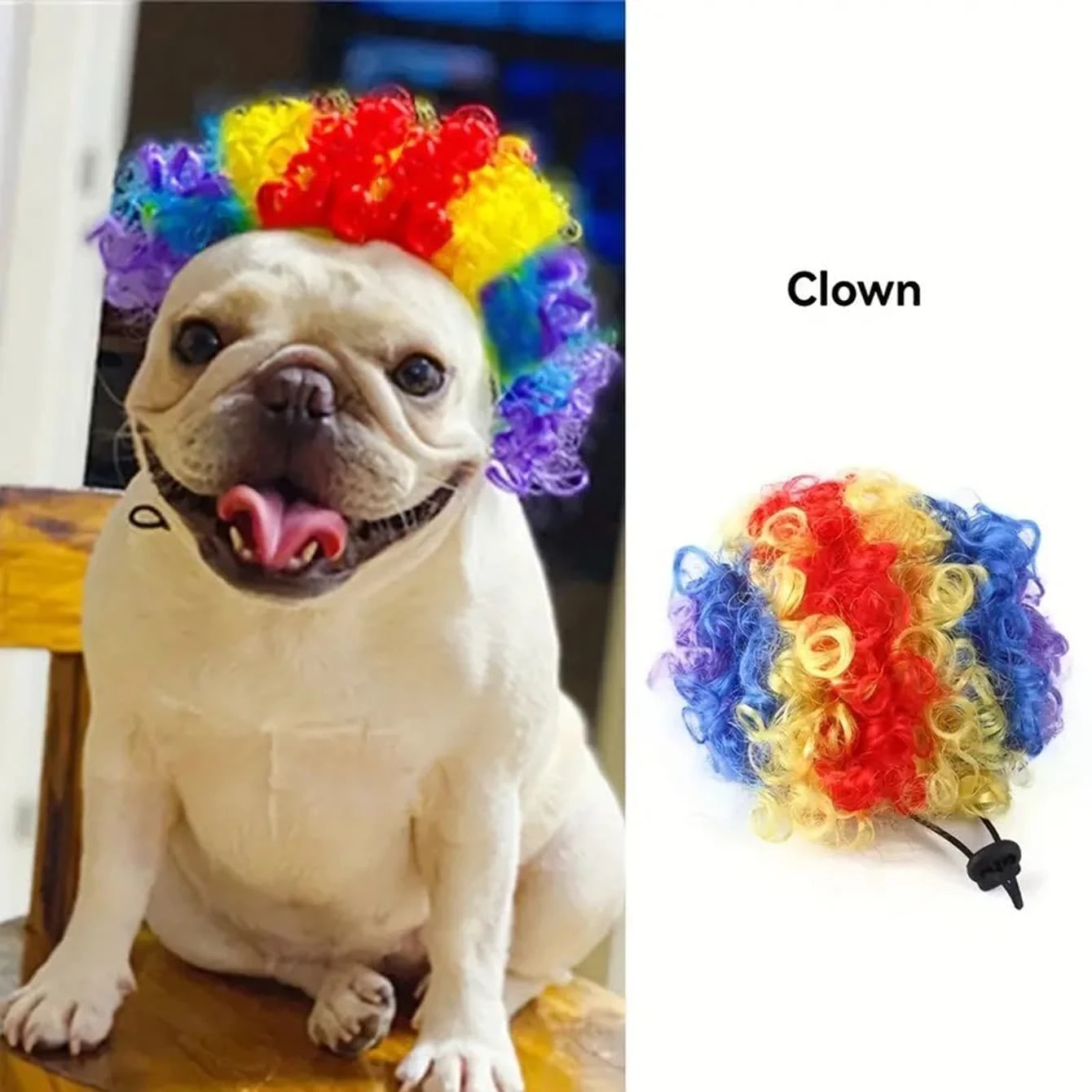 Pet Nylon Wig Costume - Clown And Black African Style For Dogs And Cats ...