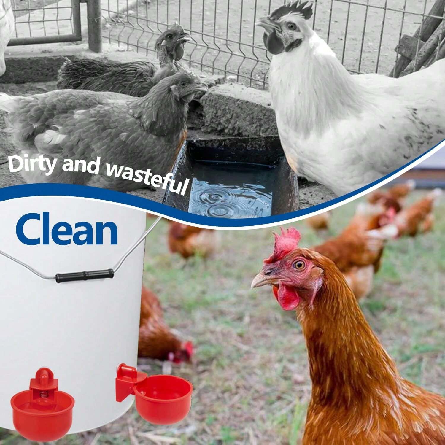 Chicken Waterer Cups,Chicken Feeder Cup For Chicken Duck Turkey Rabbit ...