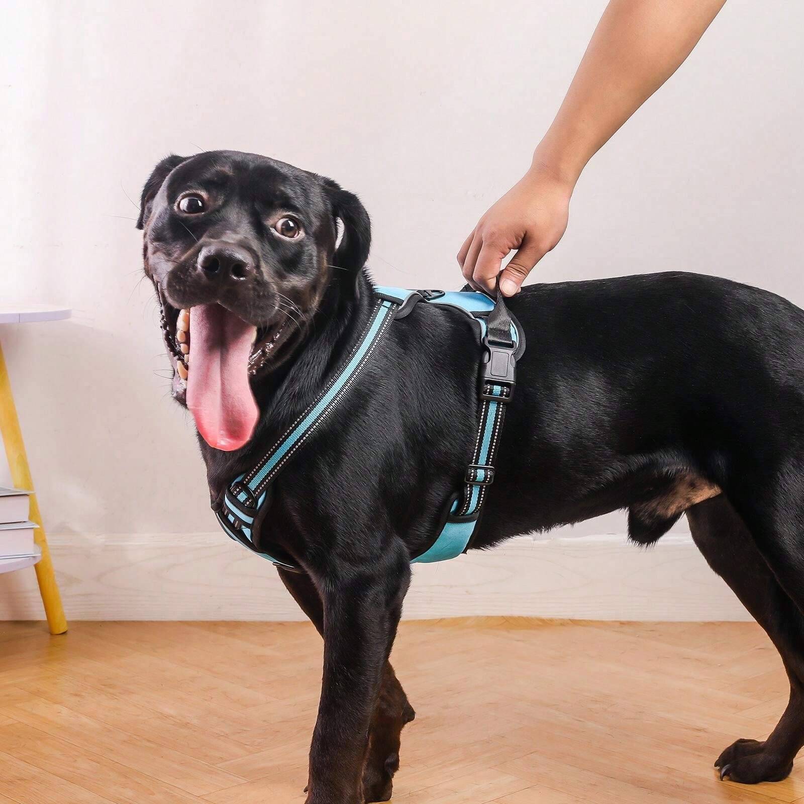 Reflective Dog Harness - Durable, Easy To Put On, Non-Restrictive Chest ...