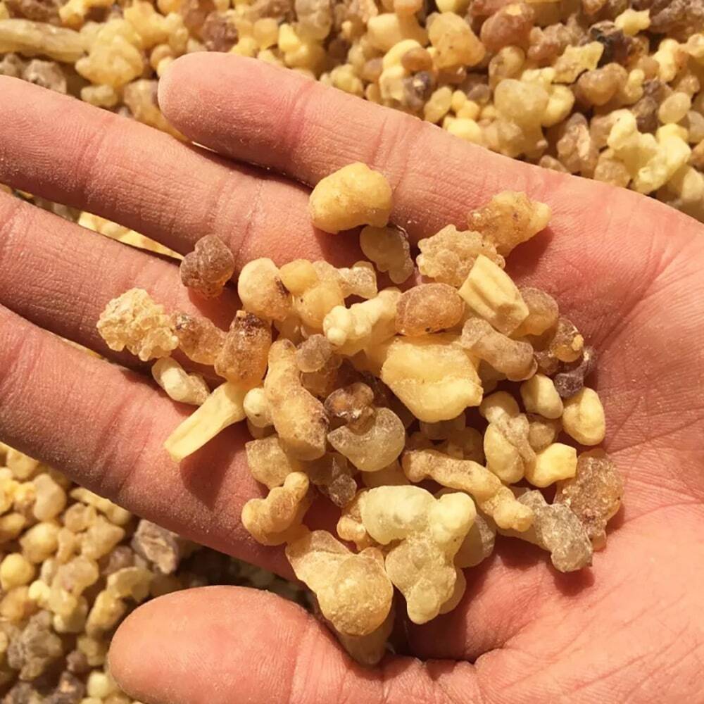 501g Natural Somali Frankincense Bursting Bead Frankincense Block Used ...