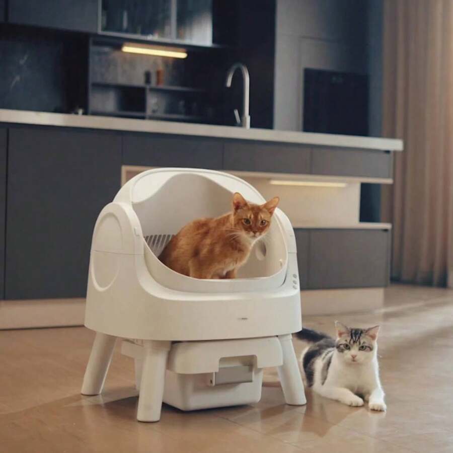 Open-Top Self Cleaning Cat Litter Box, Automatic Cat Litter Box | SHEIN USA
