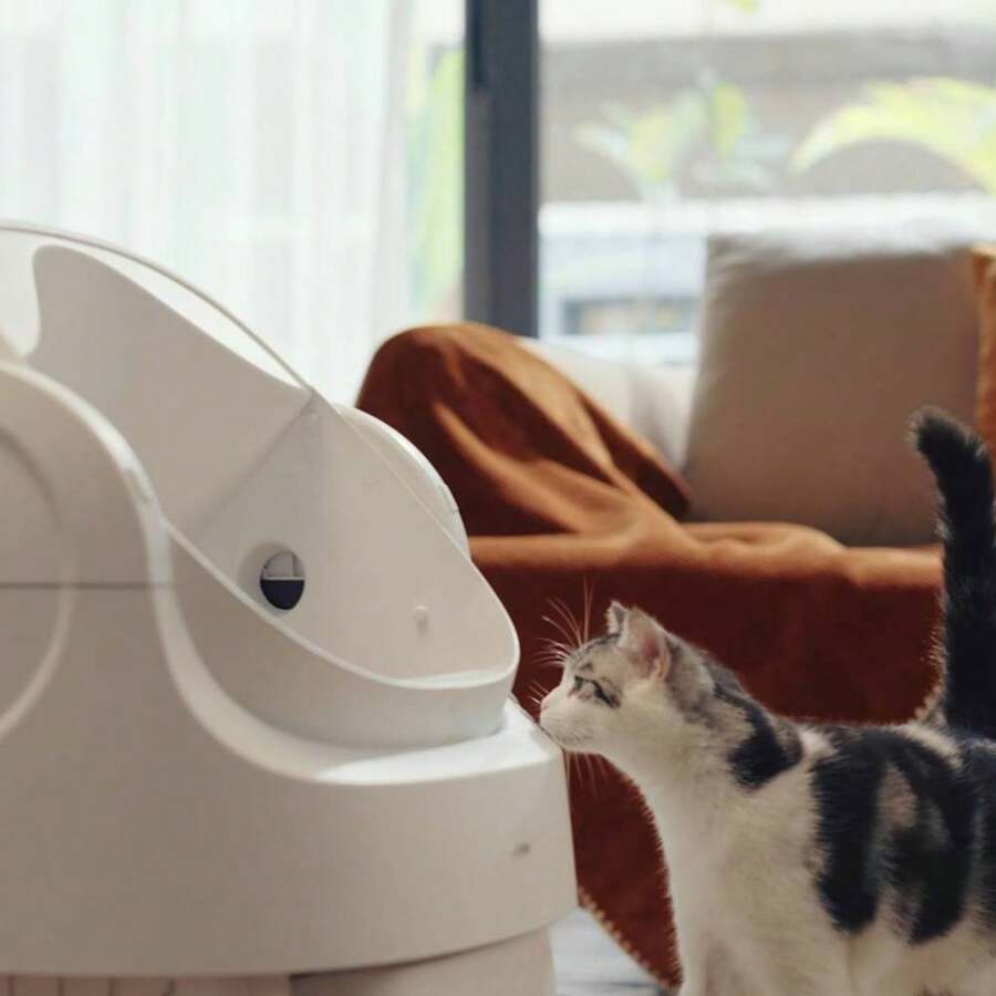 Open-Top Self Cleaning Cat Litter Box, Automatic Cat Litter Box | SHEIN ...