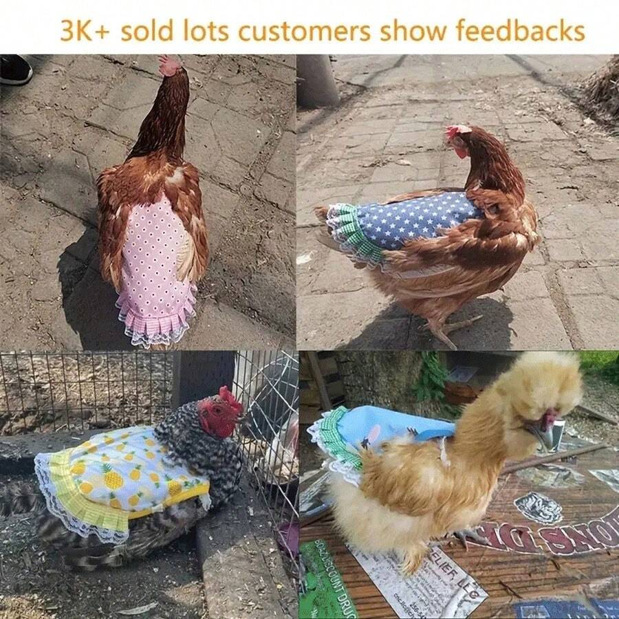 Random Color Poultry Protection Suit For Chickens, Ducks And Geese ...