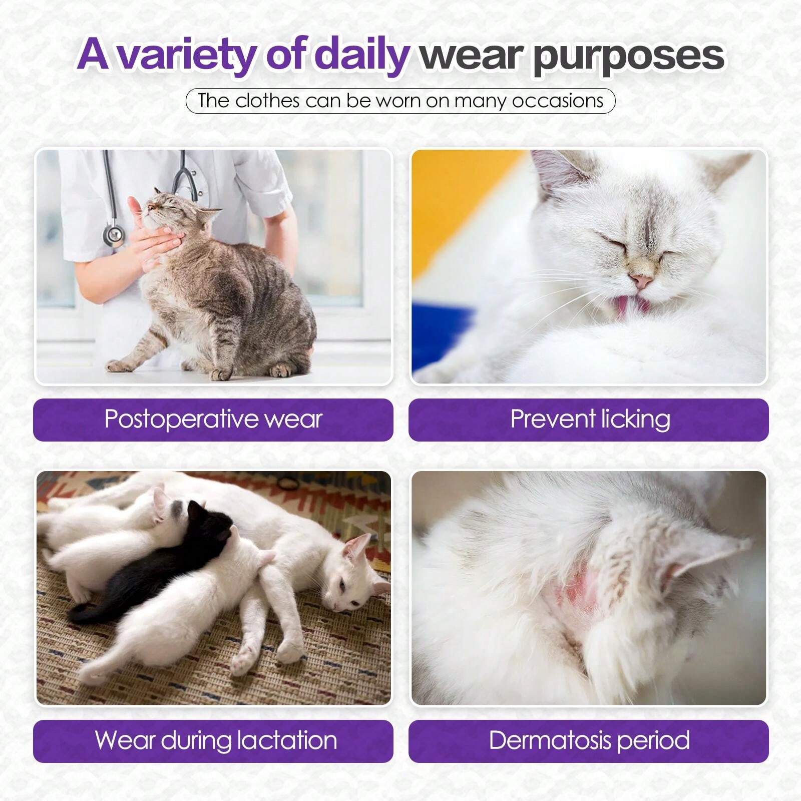 Cat Surgical Recovery Suit | Female Cat For Spay | Anti-Licking Cat ...