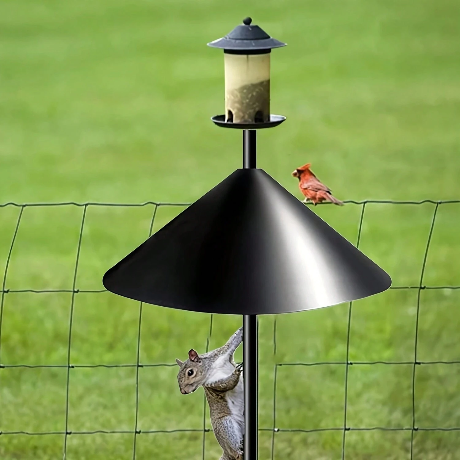 Squirrel Protection Baffle, Wraparound Protection Squirrel Baffle ...