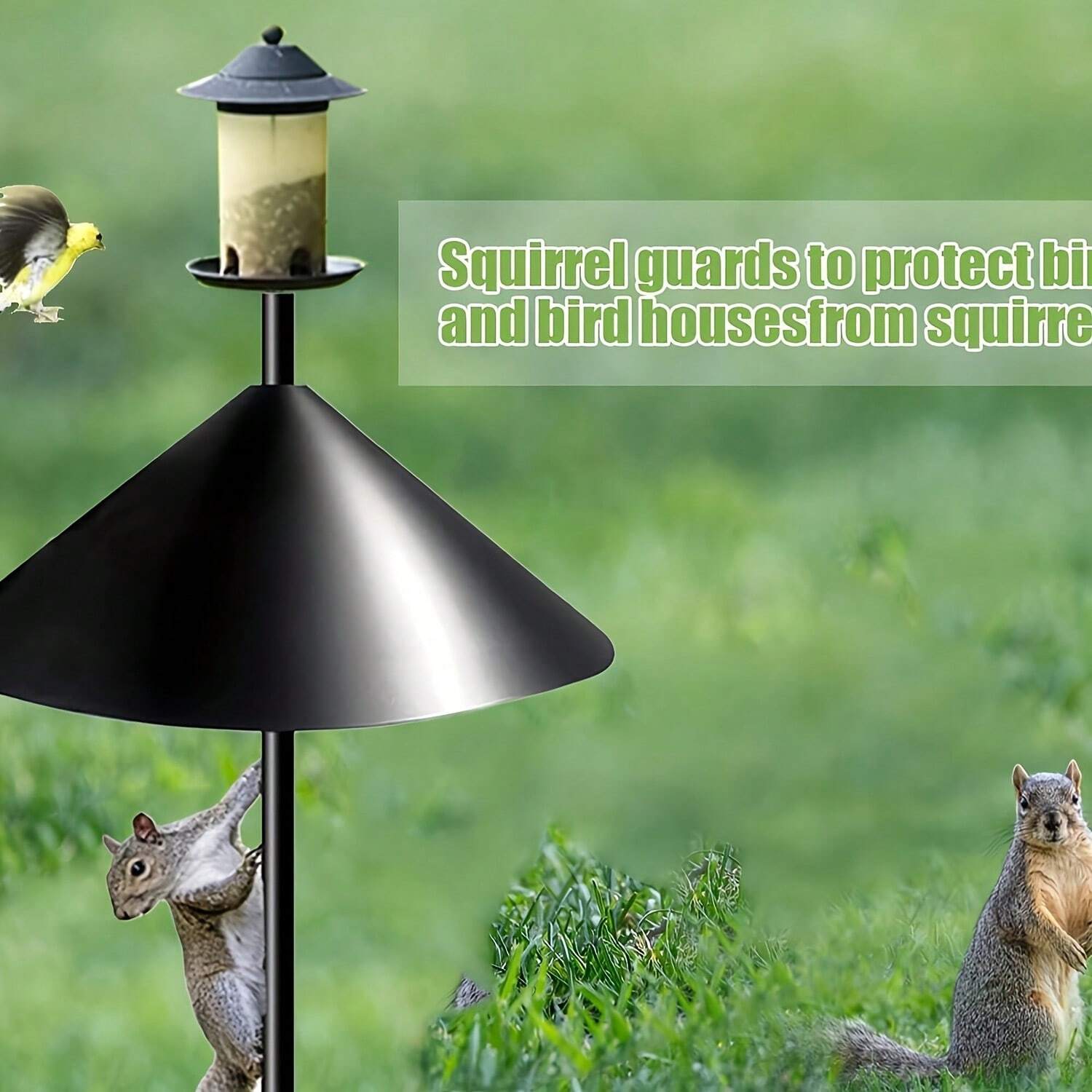 Squirrel Protection Baffle, Wraparound Protection Squirrel Baffle ...