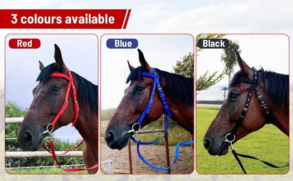 The Best Control And Safety Of Equestrian Reins Are Suitable For Riders ...