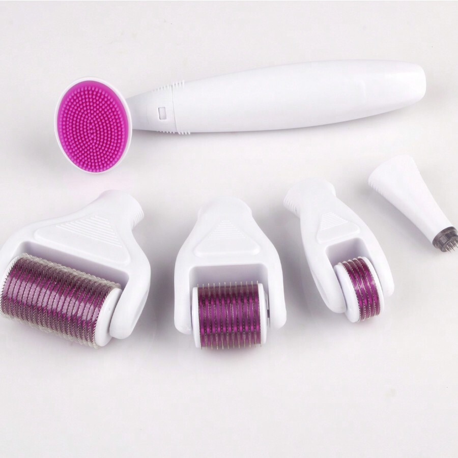 Derma Roller Kit DRS 6 In1 Microneedle Derma Roller Set For Home Use ...