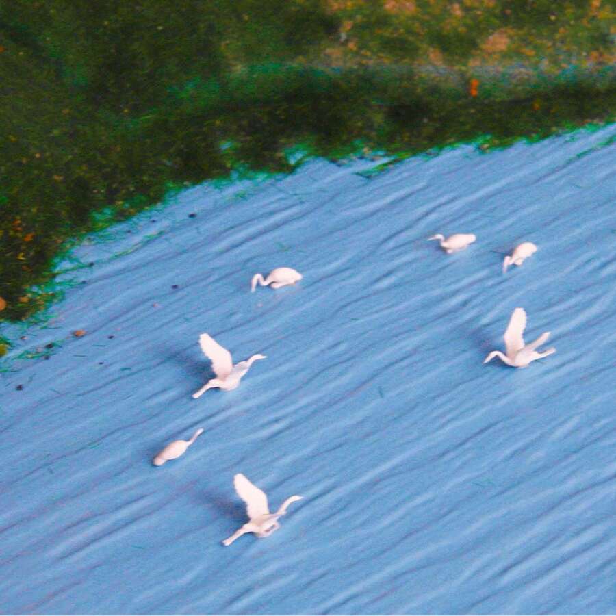 5pcs MiniatureRed-Crowned Crane Models Mini Swan Birds Figure Plastic ...