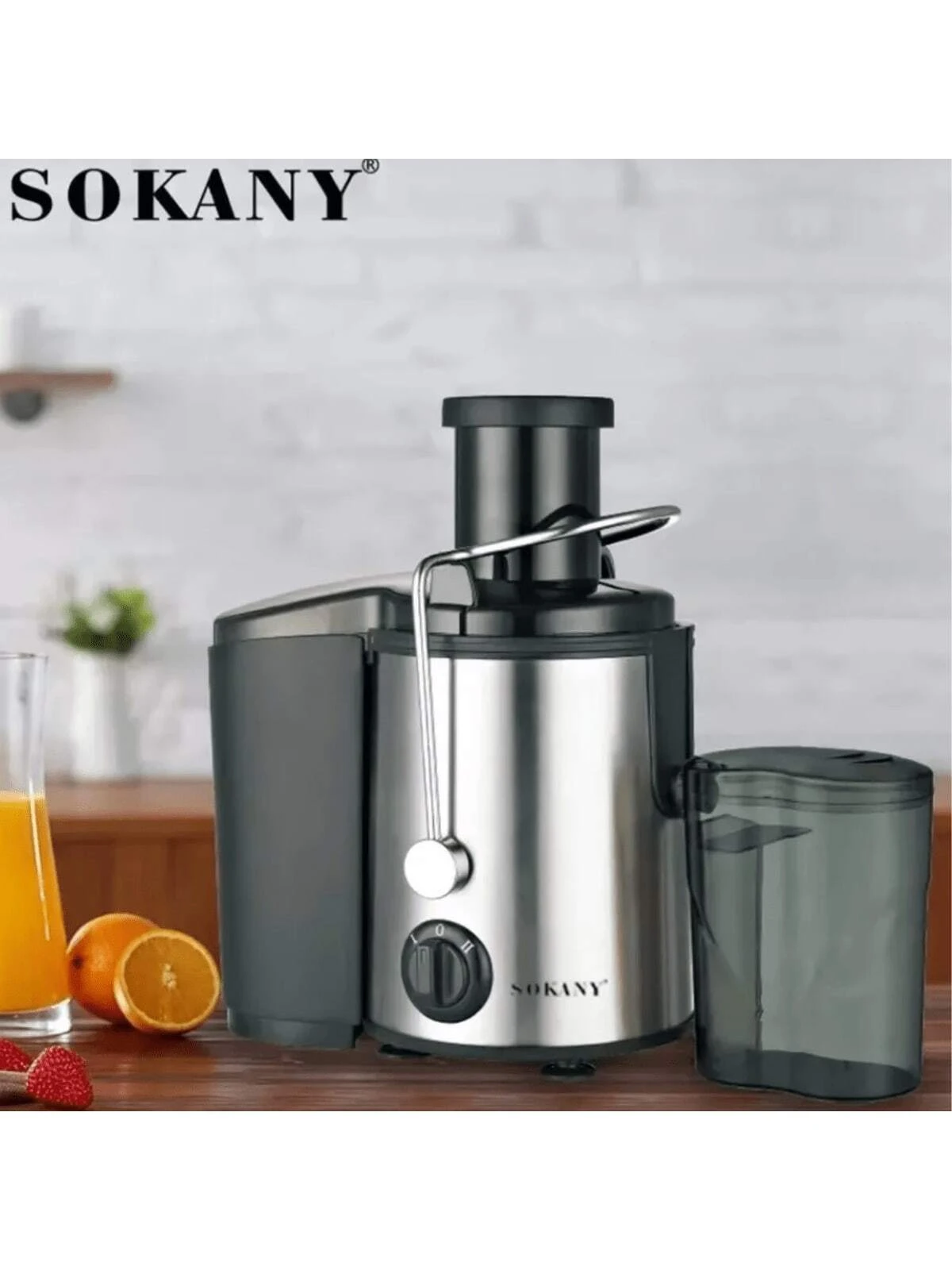 Electric Juicer 800W Stainless Steel For Fruit And Vegetable Juice ...