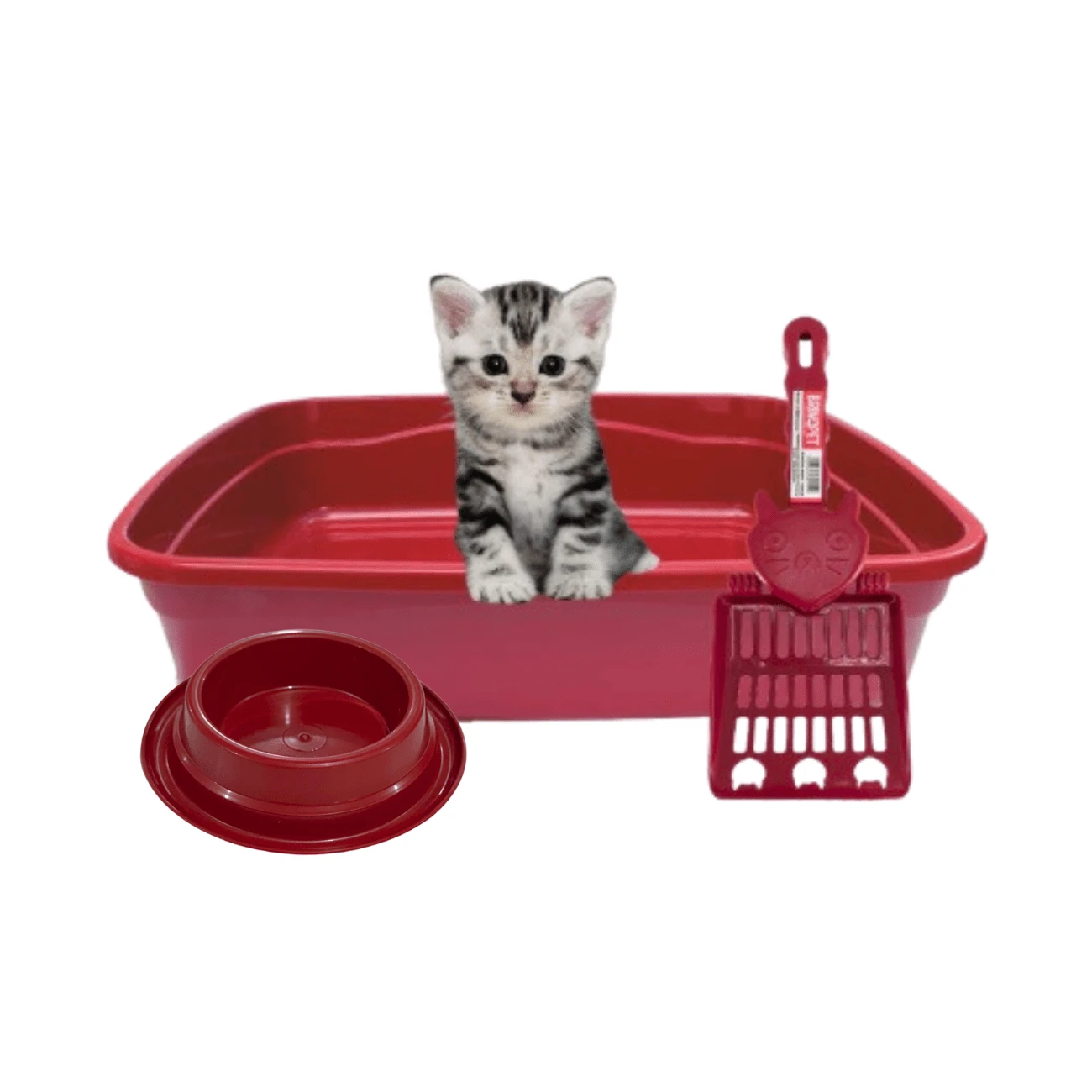 Hygiene Kit 1 Litter Box + 1 Collection Shovel + 1 Anti-Ant Feeder And ...