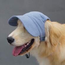 Pet Dog/Cat Sun Visor Hat, Corgi Teddy Bear Style, Open Ear Design, All ...