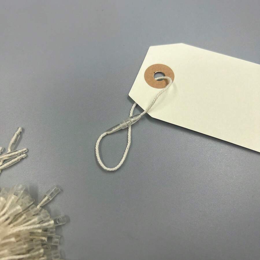 100pcs Transparent Labels, Rope Buckles, Hanging Tablets, Tag Ropes ...