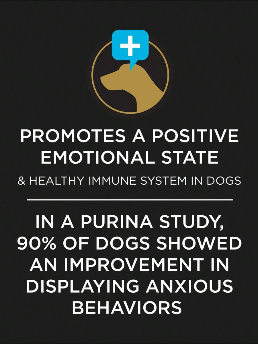 PURINA Purina FortiFlora Probiotic Supplement For Dogs | Digestive ...