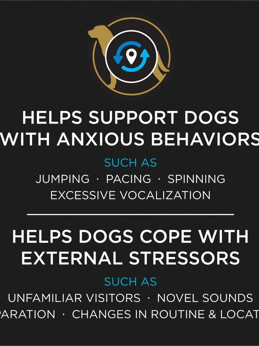 PURINA Purina FortiFlora Probiotic Supplement For Dogs | Digestive ...