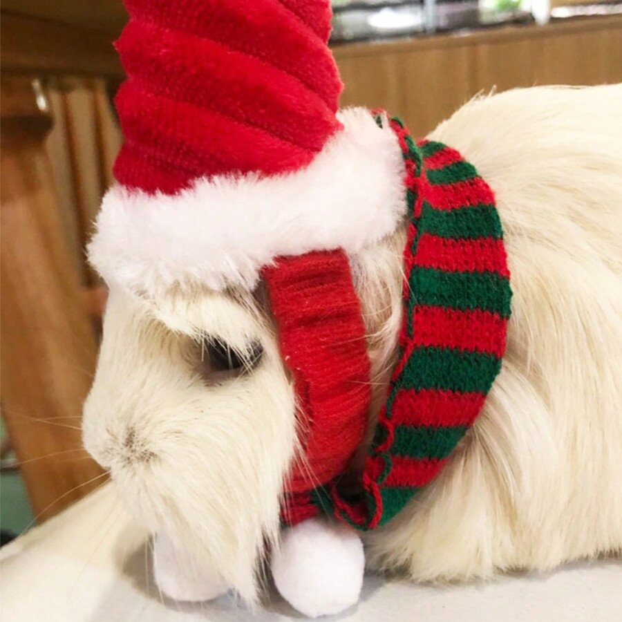 Rabbit Dutch Pig Chinchillas Hedgehog Pet Santa Hat Little Pet Funny ...