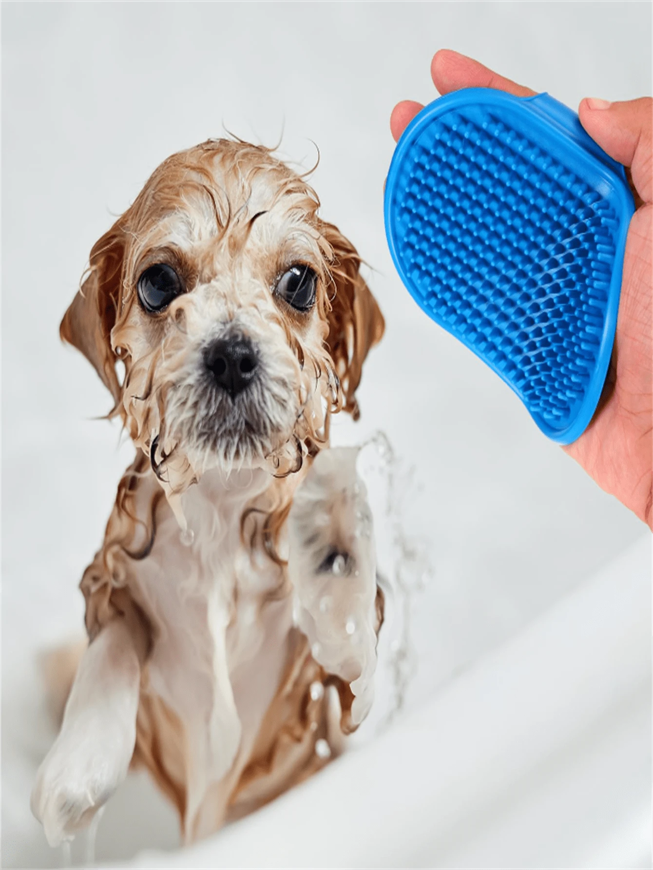 A Pet Bathing Brush For Massaging Cats And Dogs, A Dog Bathing Glove ...