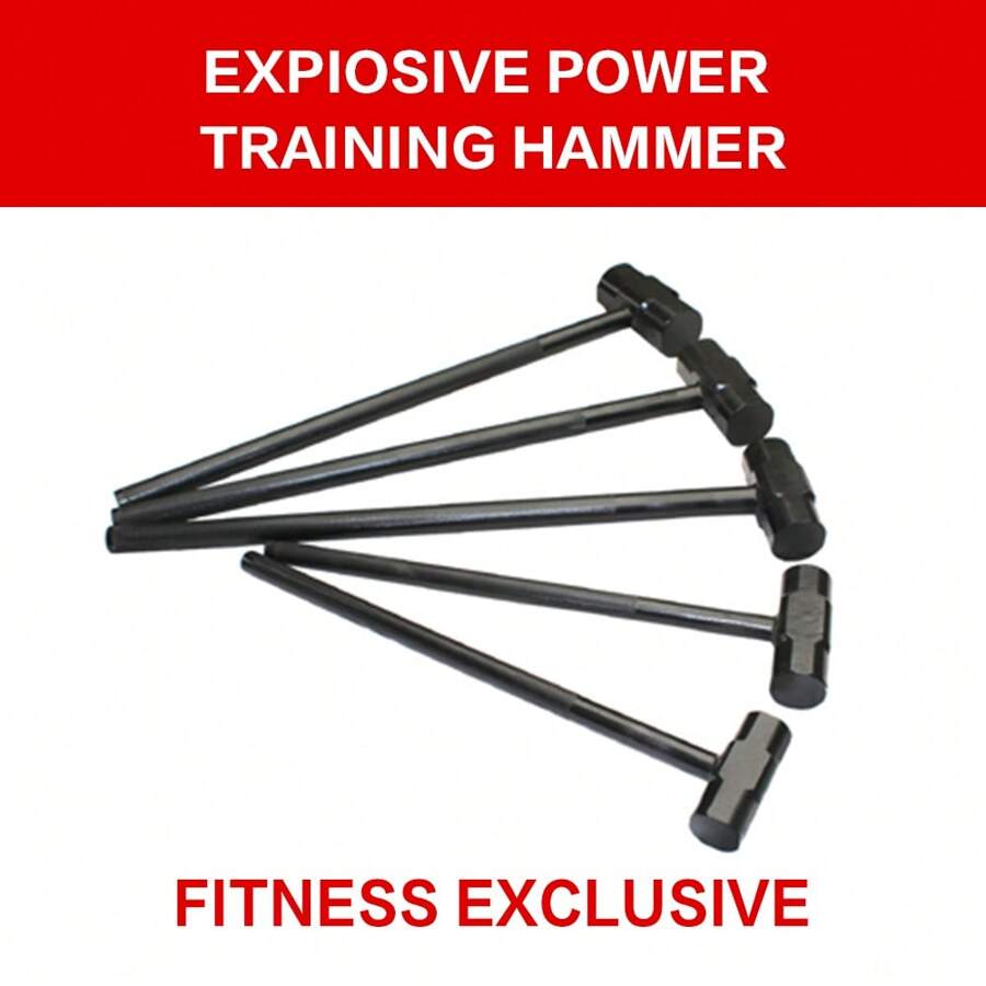10-Pound Gym Oversized Hammer Strength Training Equipment For Vigorous ...