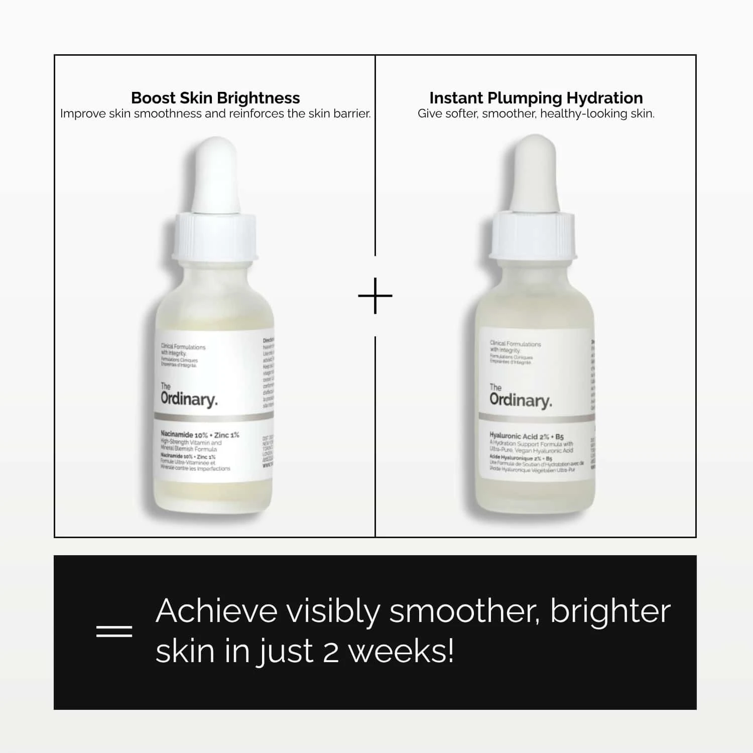 The Ordinary The Skin Support Set: Niacinamide 10% + Zinc 1% 30ml ...