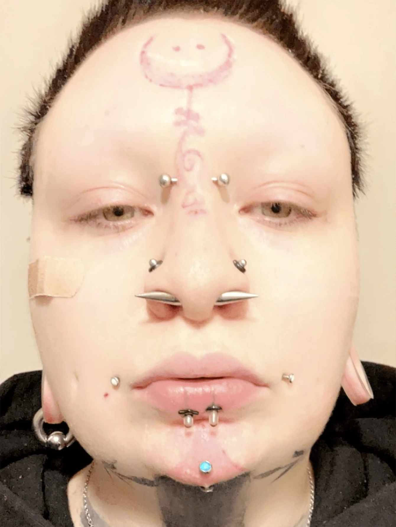 1PC G23 Titanium Tusk Septum Septum Spike 14G-2G Septum Tusk Rainbow ...