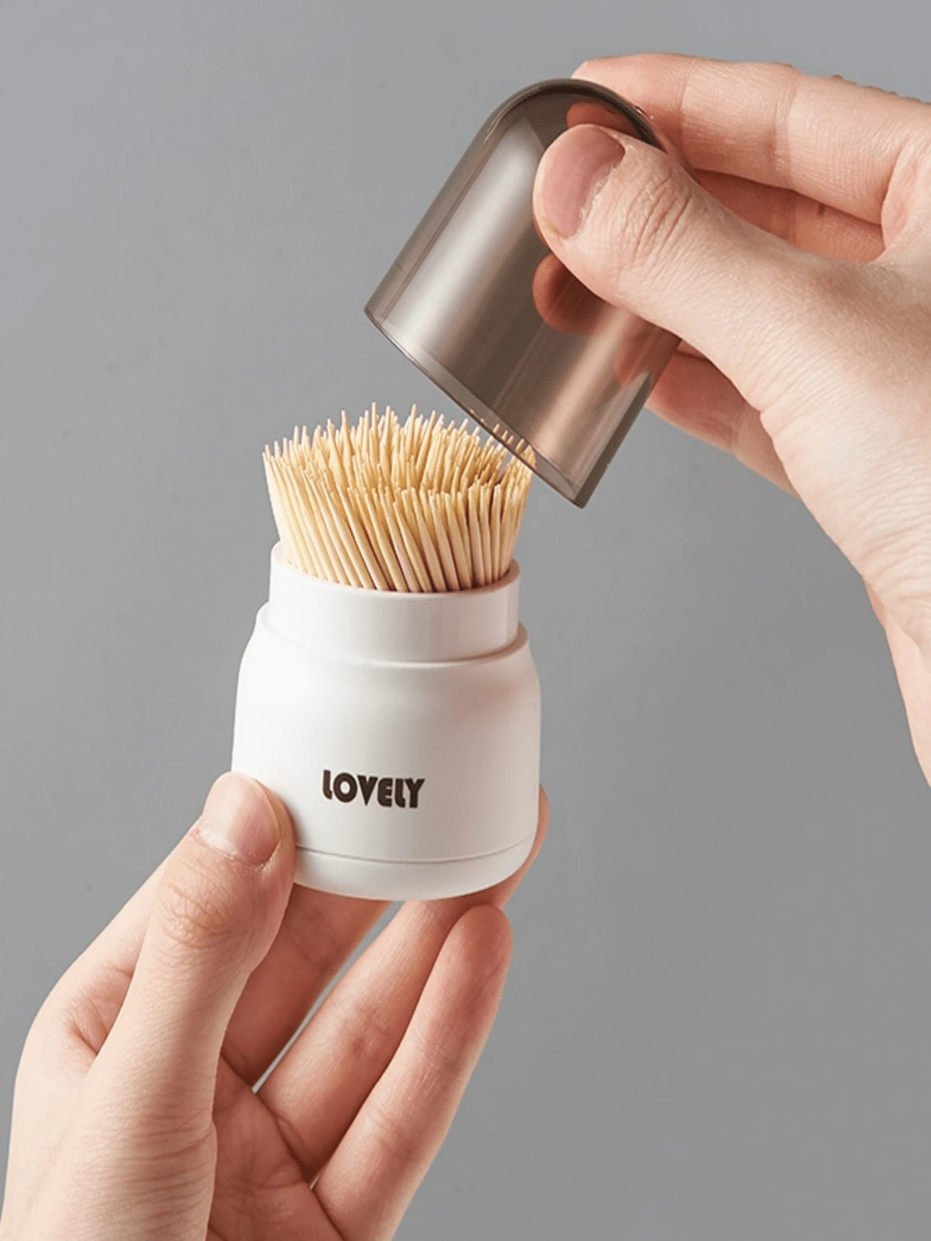 Creative Plastic Toothpick Holder High-End New Model 2024 Stylish ...