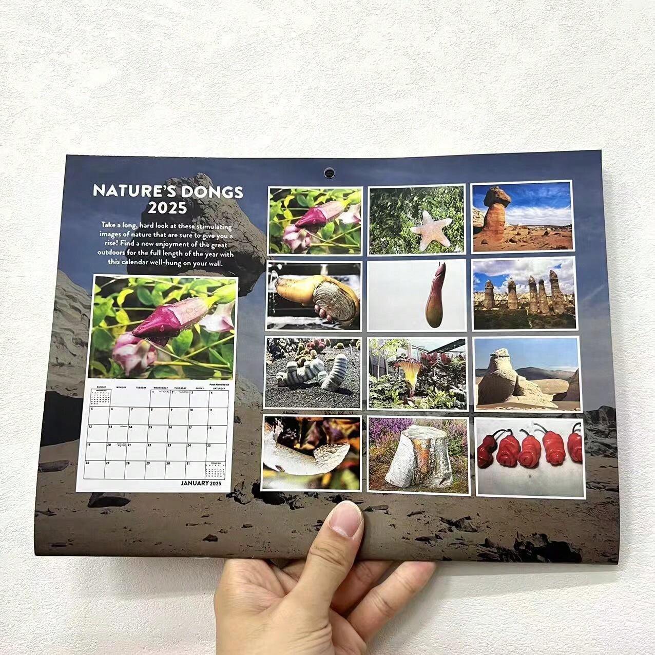 1pc 2025 Funny Landscape Calendar, With Humorous Mountain And Nature ...