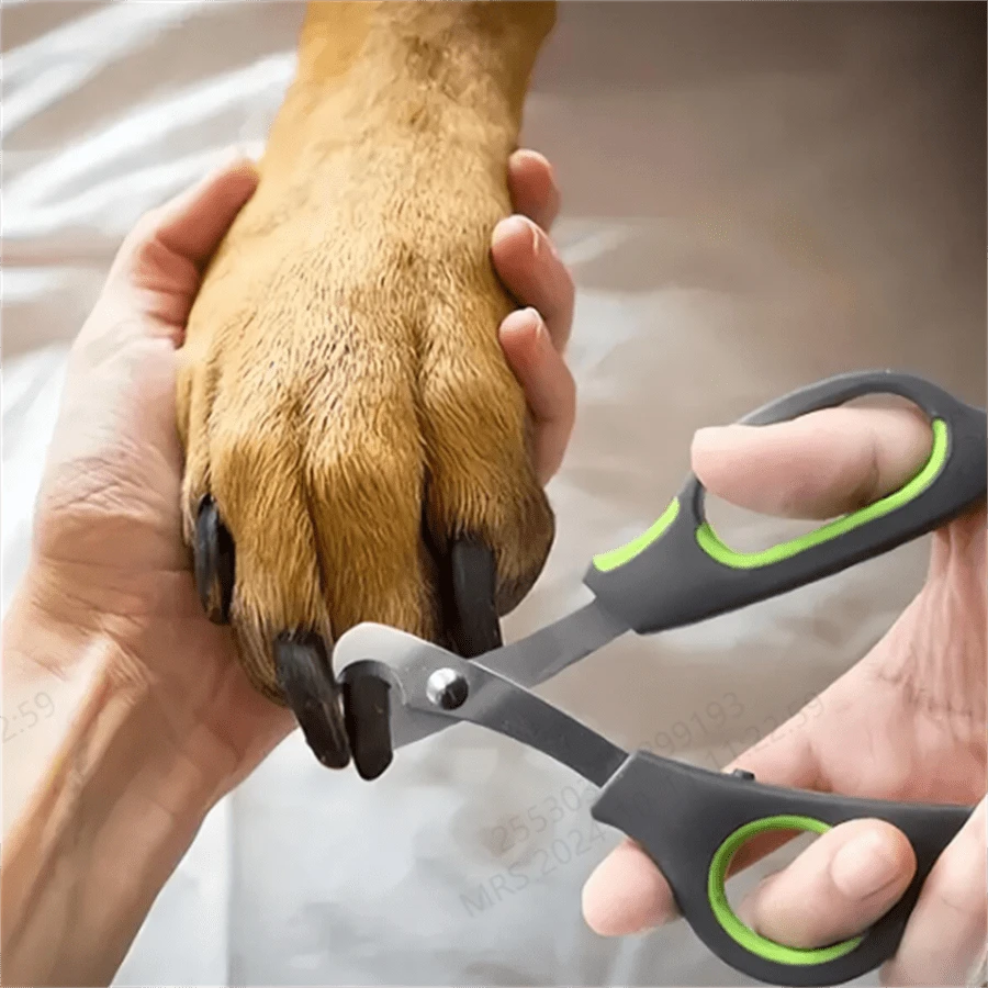 New Pet Nail Scissors Dog Nail Clippers Stainless Steel Cat Nail ...
