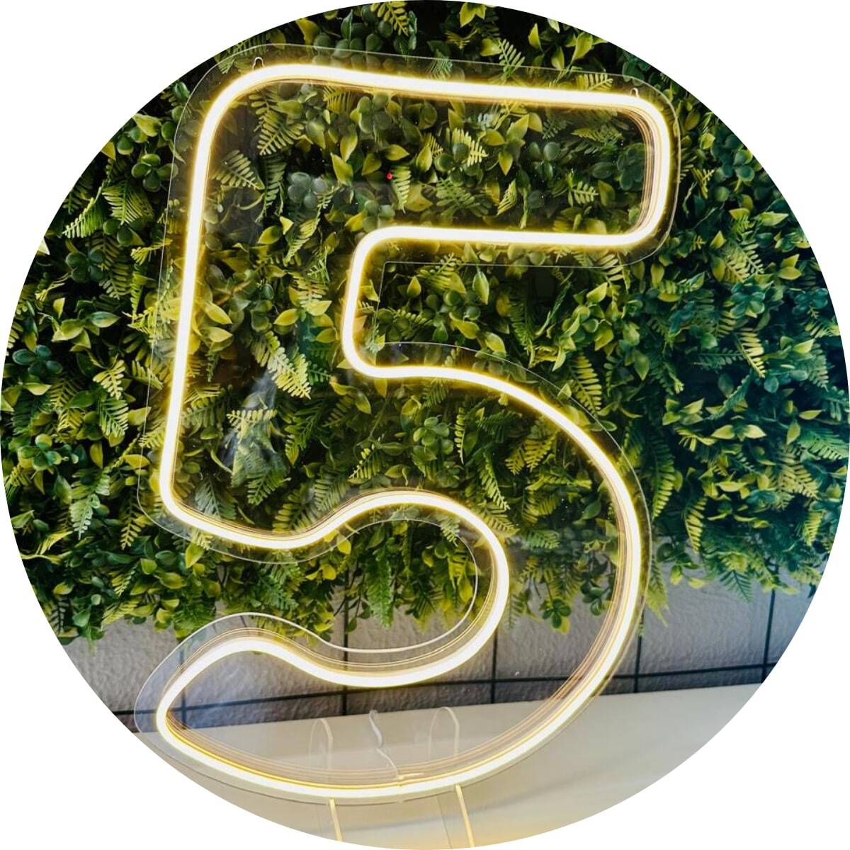 Led Neon Panel Number Five Transparent Acrylic 50cm Height for Sale ...