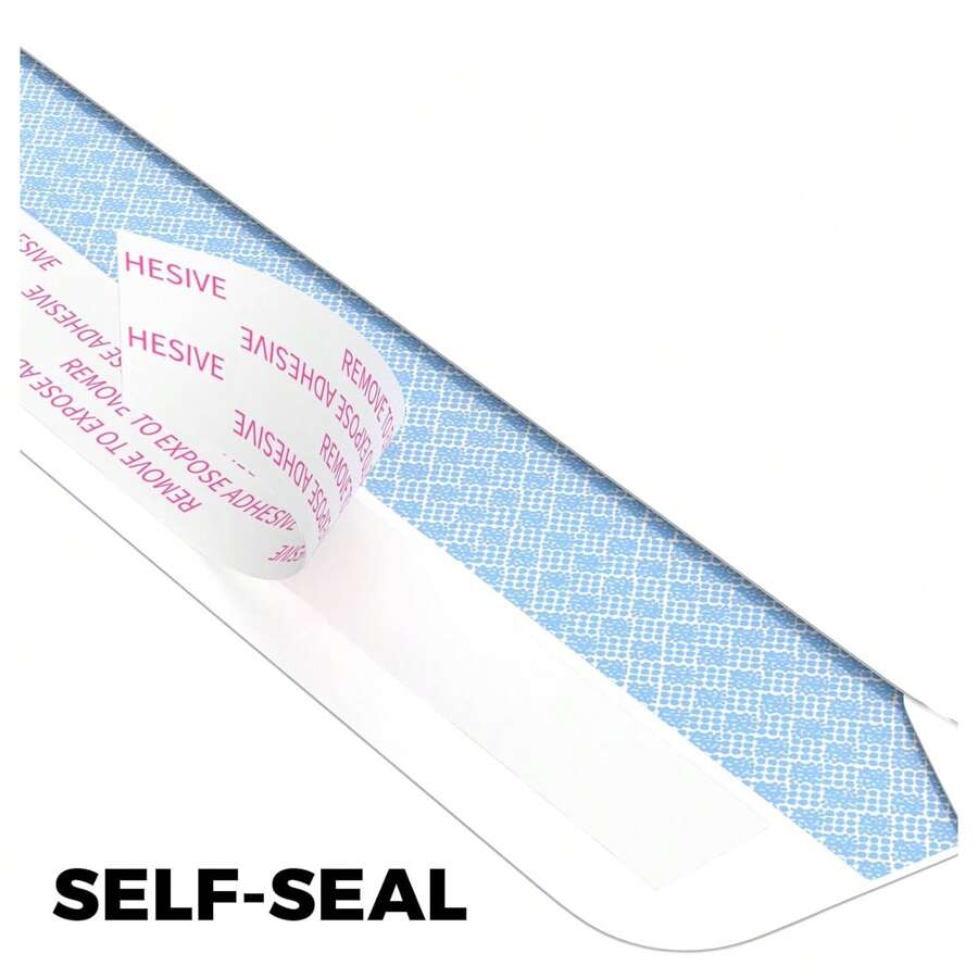 #10 Envelopes Self Seal Security Tinted Envelopes For Privacy ...
