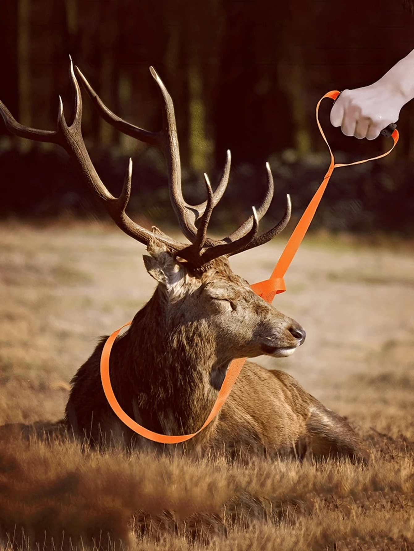 Deer Drag Rope, Heavy Duty Deer Drag With Self-Locking Ring And Non ...