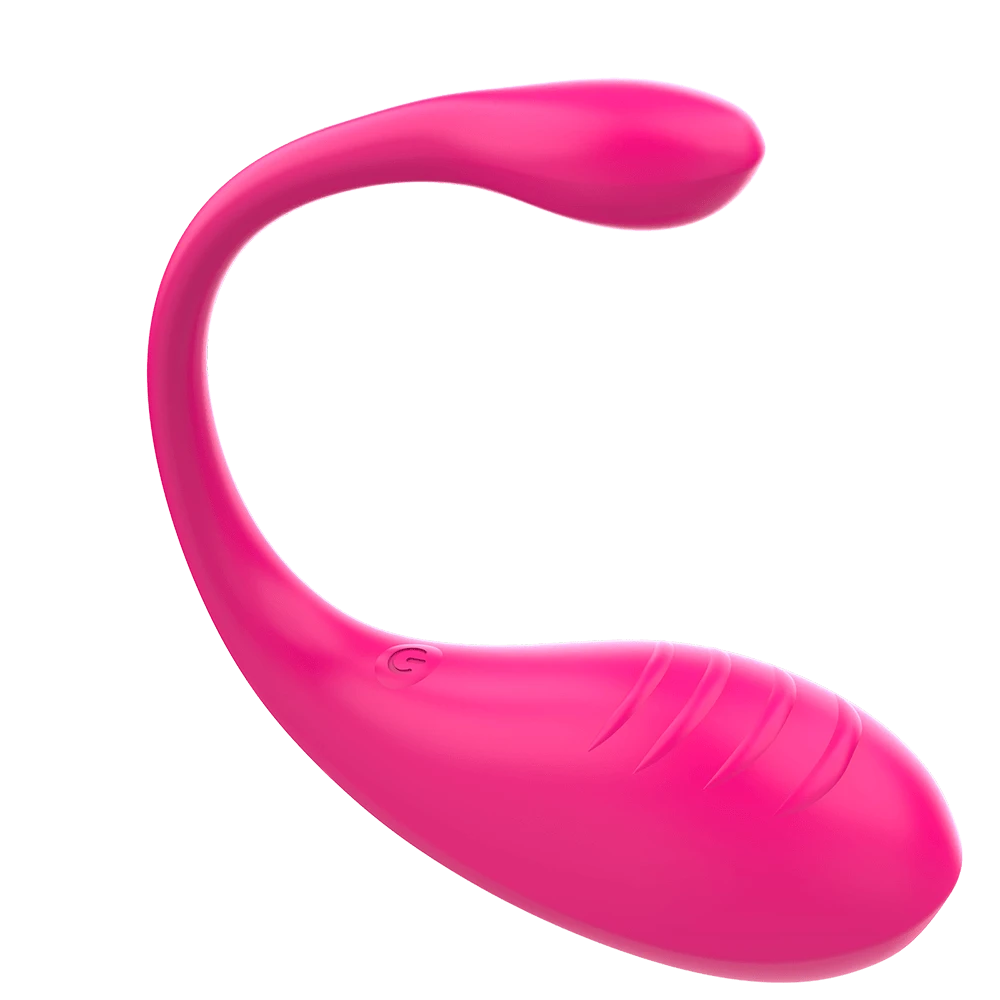 Wireless Control Vibrator App Remote Control Panties Wear Vibrating Egg