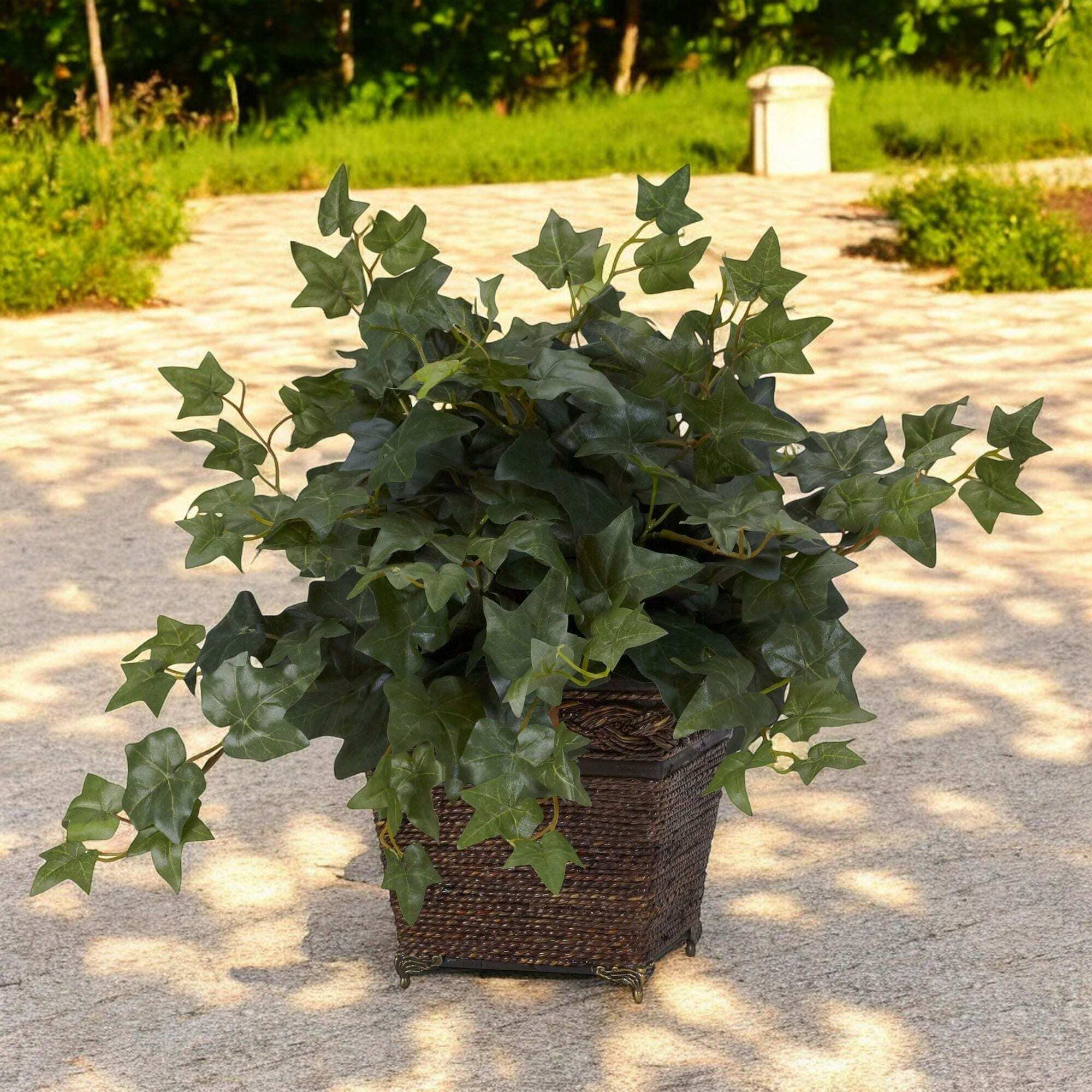 Puff Ivy With Coiled Rope Planter Silk Plant | SHEIN USA