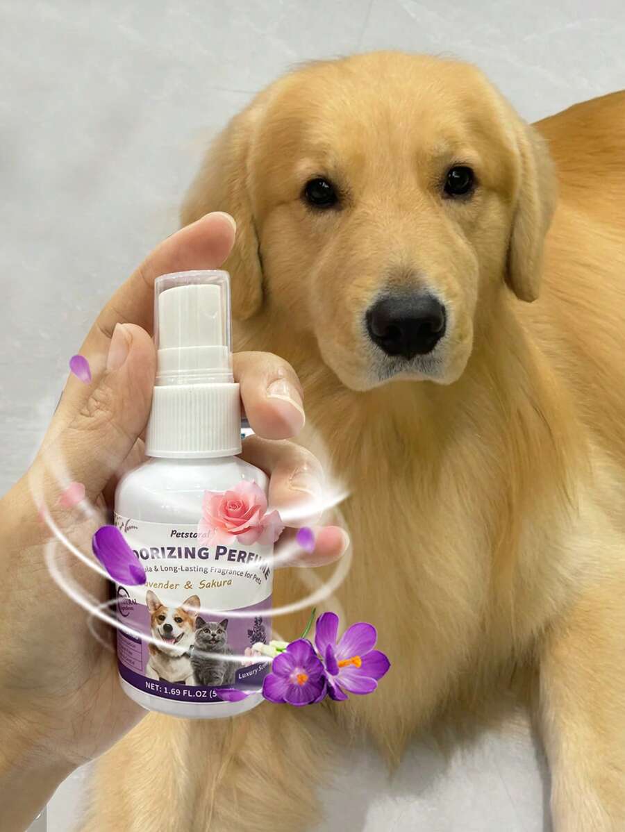 petstoral Premium Lavender Pet Perfume | Dog Perfume Long Lasting Spray ...
