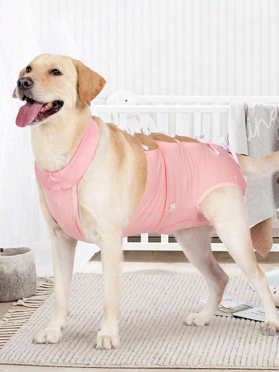 Dog Post-Surgery Suit Pet Abdominal Wound Protection Pet Surgical Suit ...