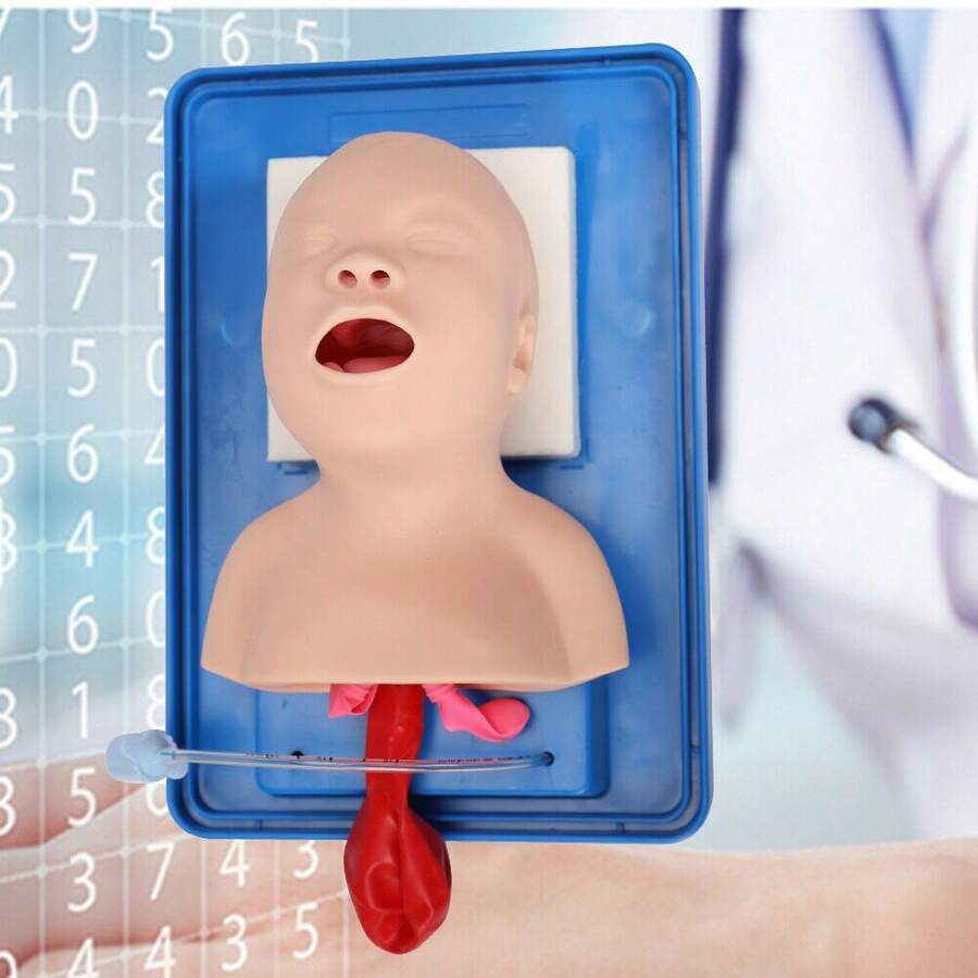 Tracheal Intubation Model Intubation Training Simulated Human Model ...